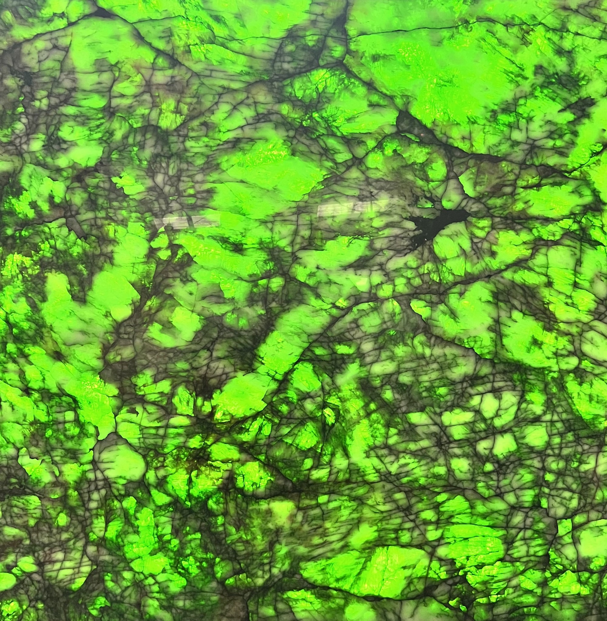 Mango Quartz with Backlight Quartz